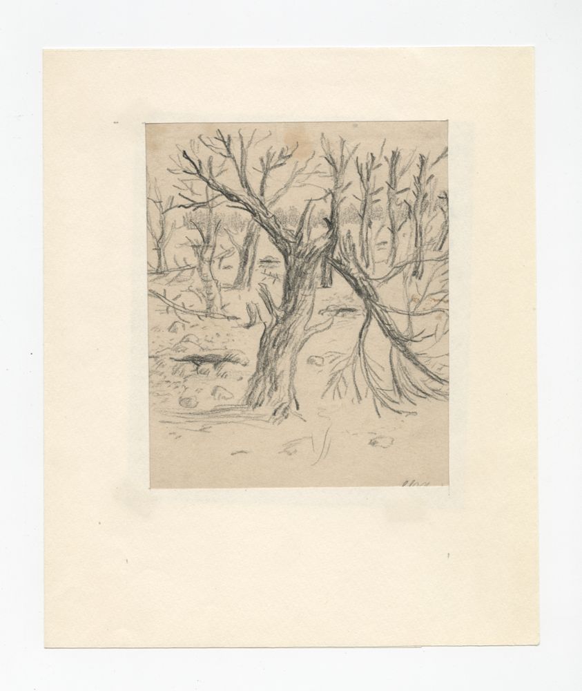 Broken tree, pencil drawing, ca. 1941-1945